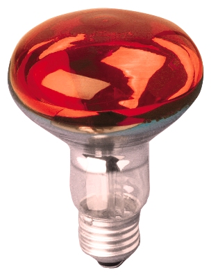 R80 ES 60w/240v Reflector Lamp (Red) | 612-632