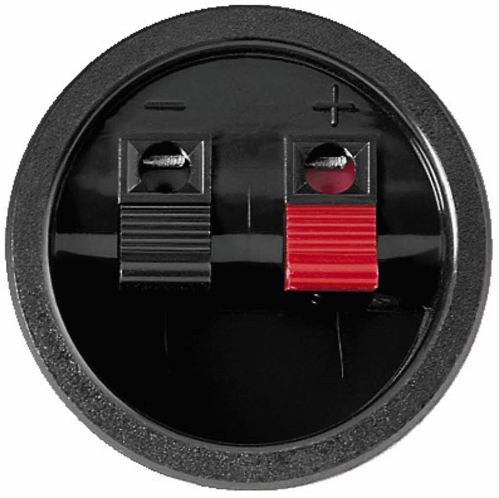 Recess dish with Spring Loaded Speaker Terminals